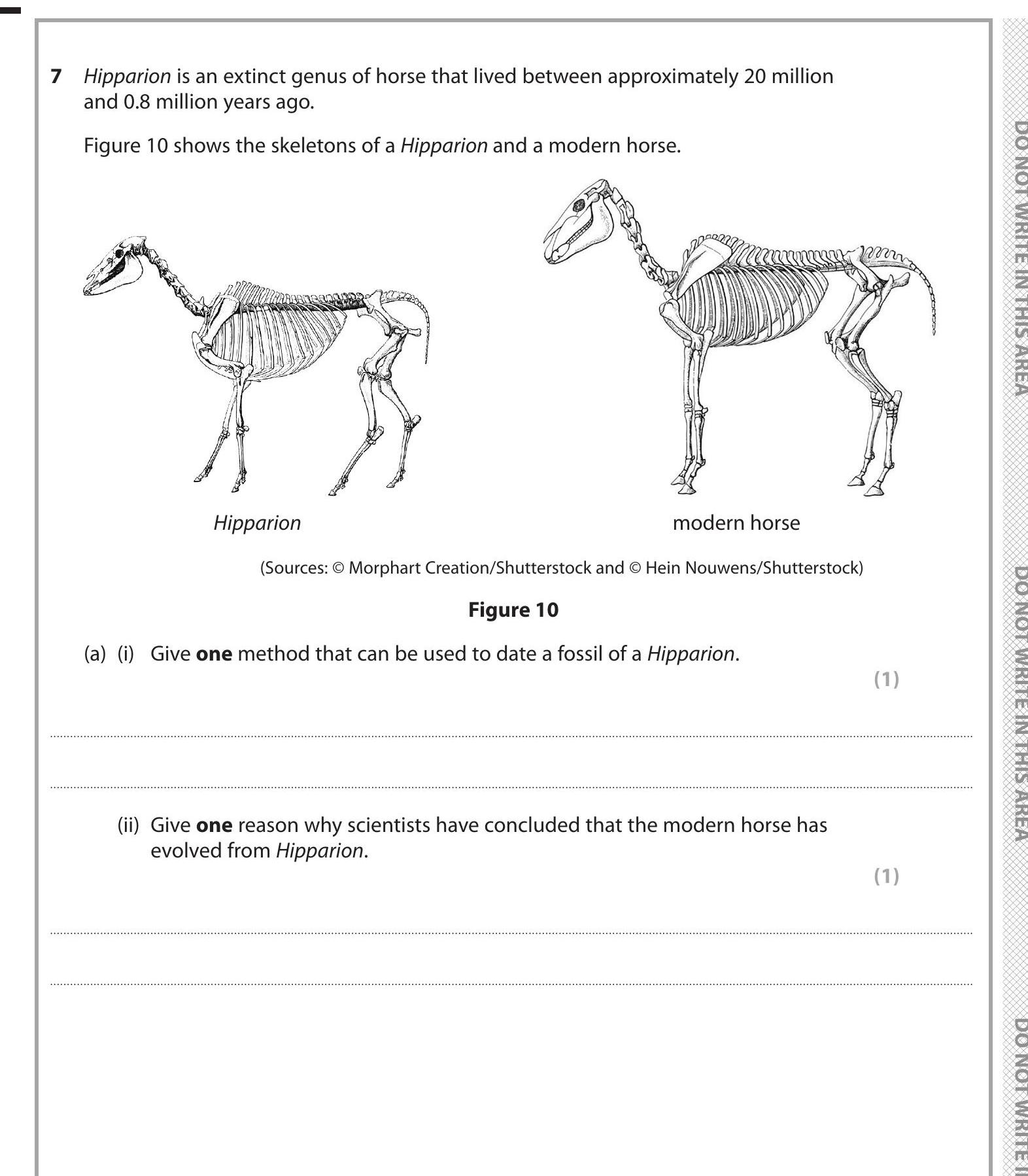GCSE Edexcel Biology Evolution: 7 Hipparion is an extinct genus