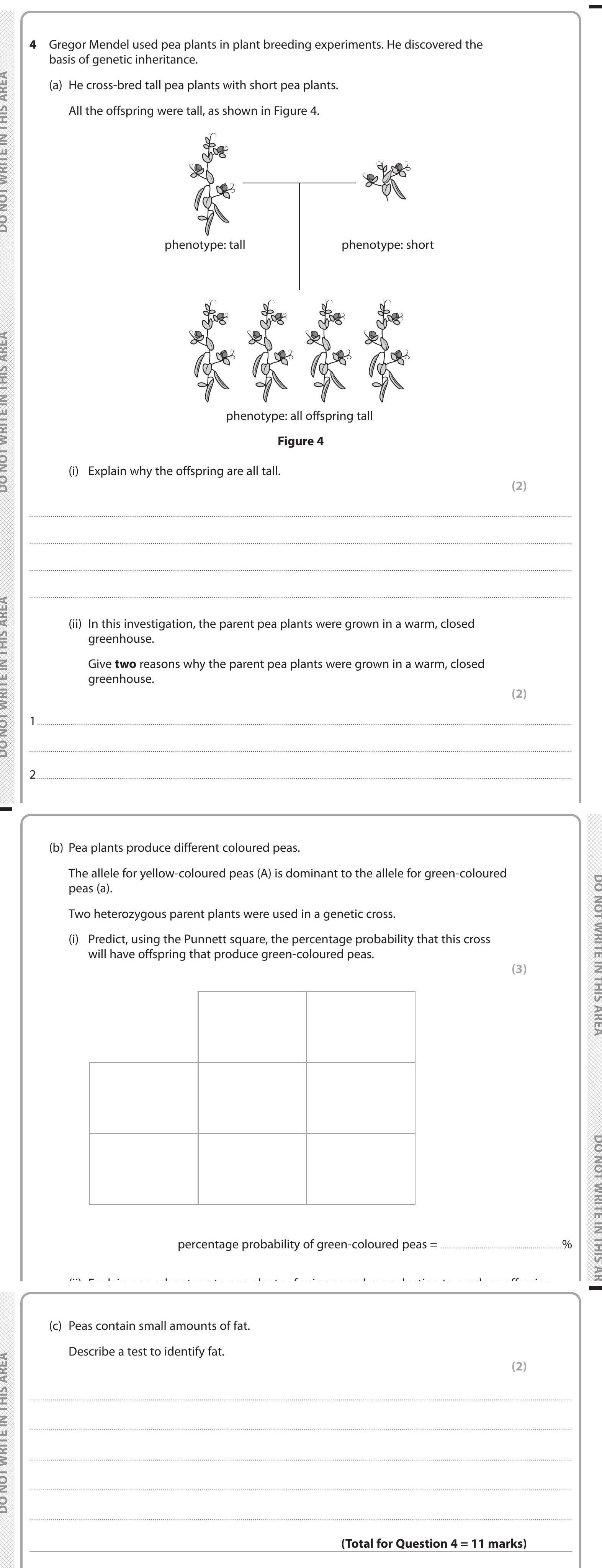 GCSE Edexcel Biology Genetic Diagrams: Gregor Mendel used pea plants in
