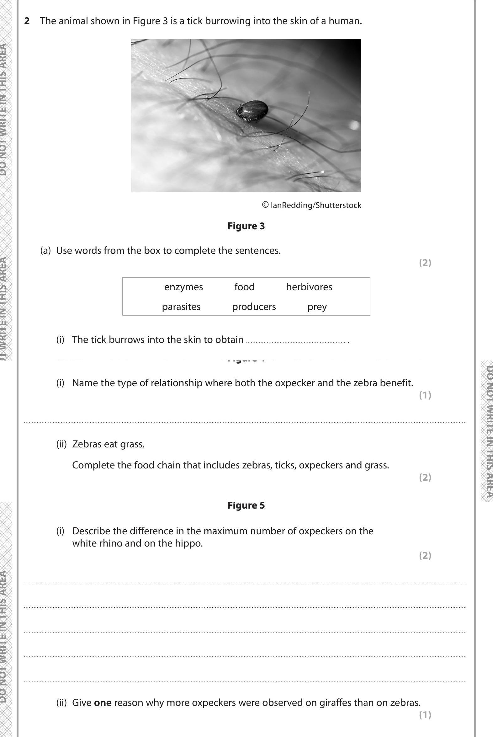 GCSE Edexcel Biology Ecosystems: The animal shown in Figure 3 is