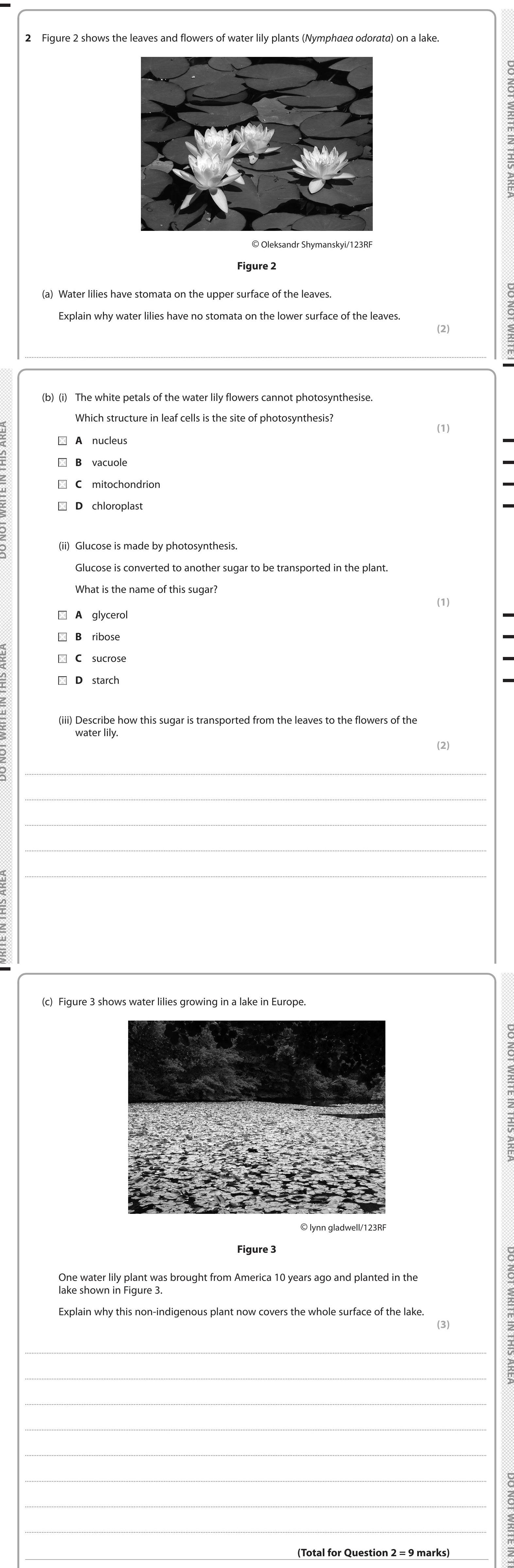 GCSE Edexcel Biology Stomata: Figure 2 shows the leaves and fl