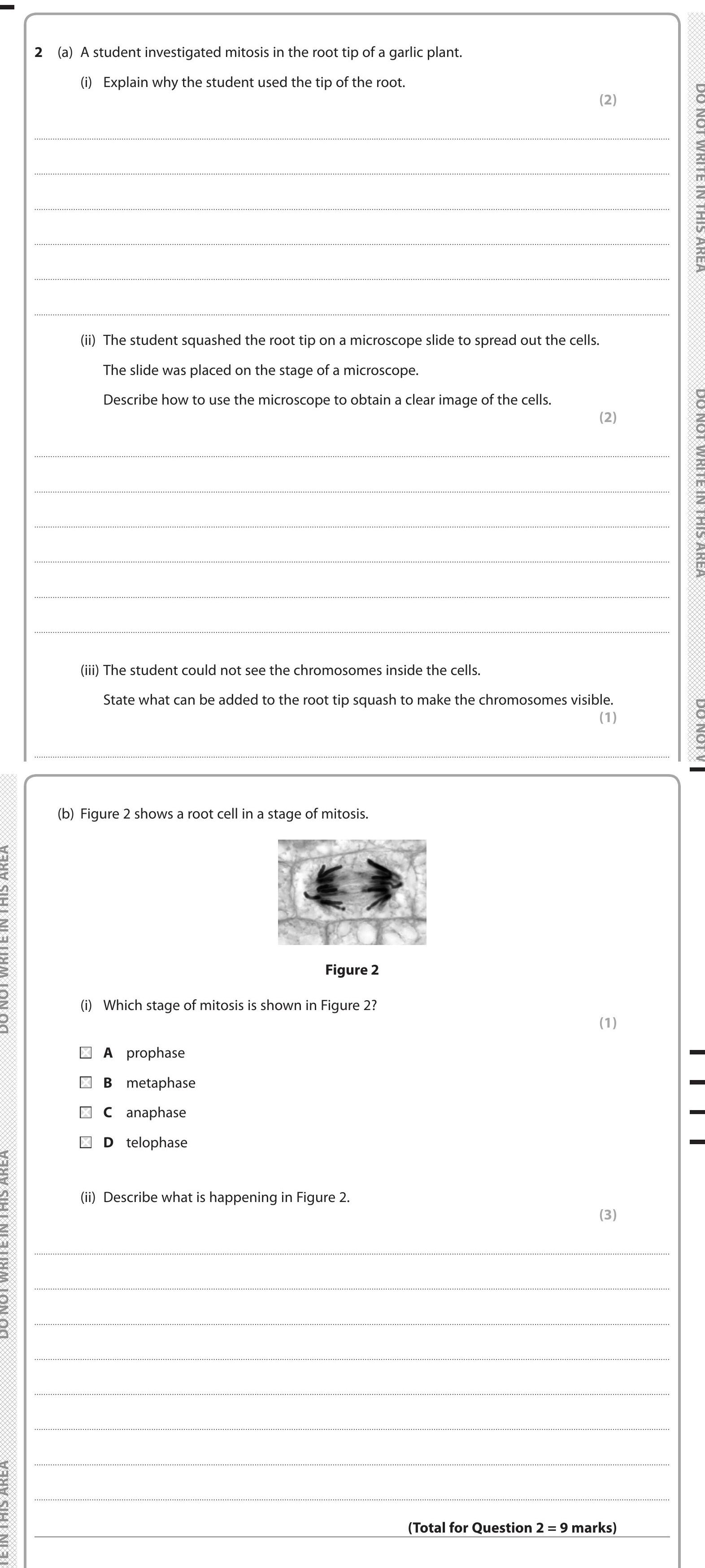 GCSE Edexcel Biology Microscopy: A student investigated mitosis i