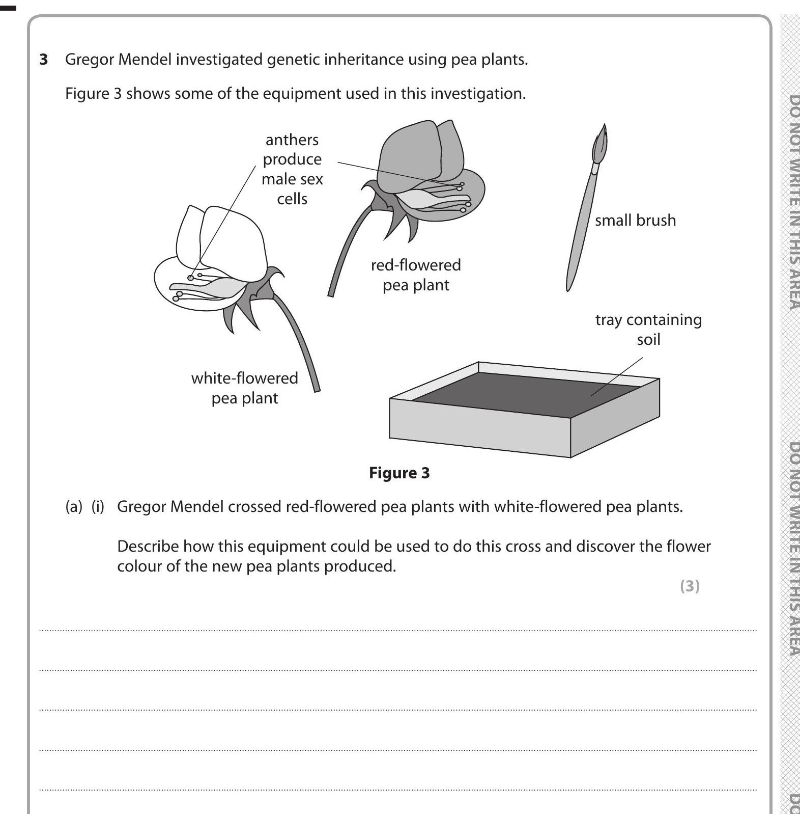 GCSE Edexcel Biology Genetic Diagrams: Gregor Mendel crossed red-flower