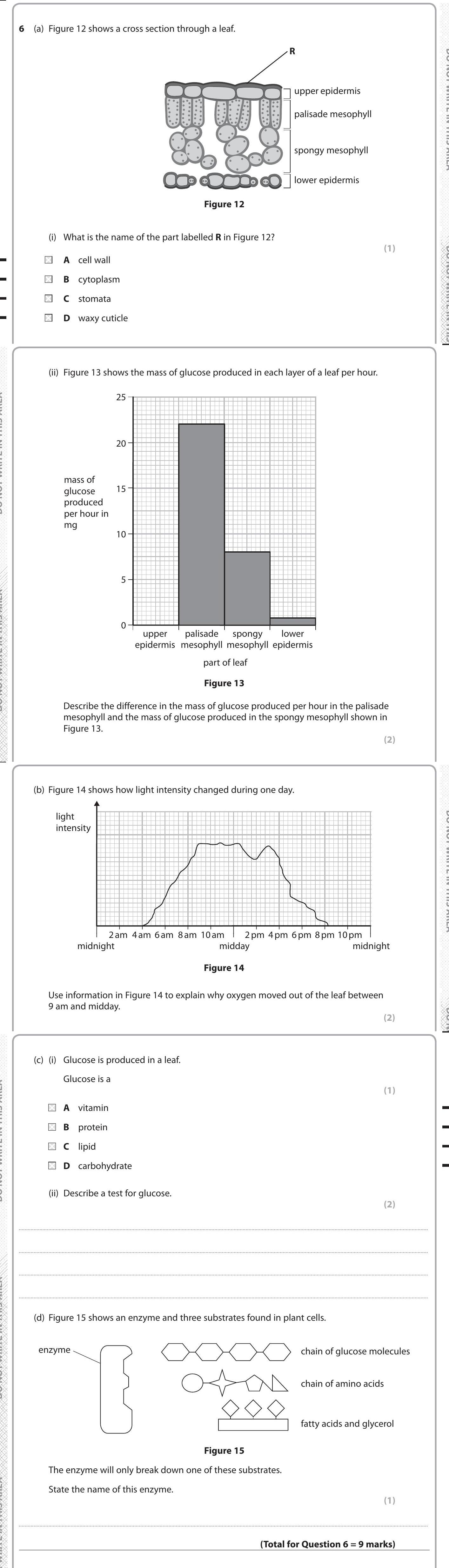 GCSE Edexcel Biology Photosynthesis: 6 (a) (i) What is the name of th