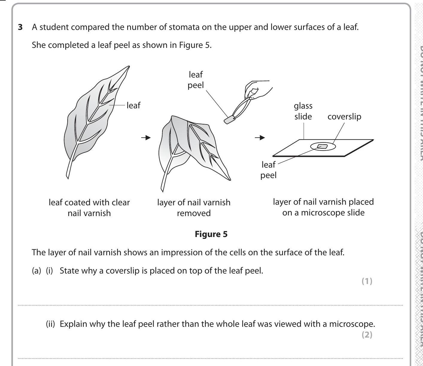 GCSE Edexcel Biology Core Practical: Drawing specimen from microscope ...