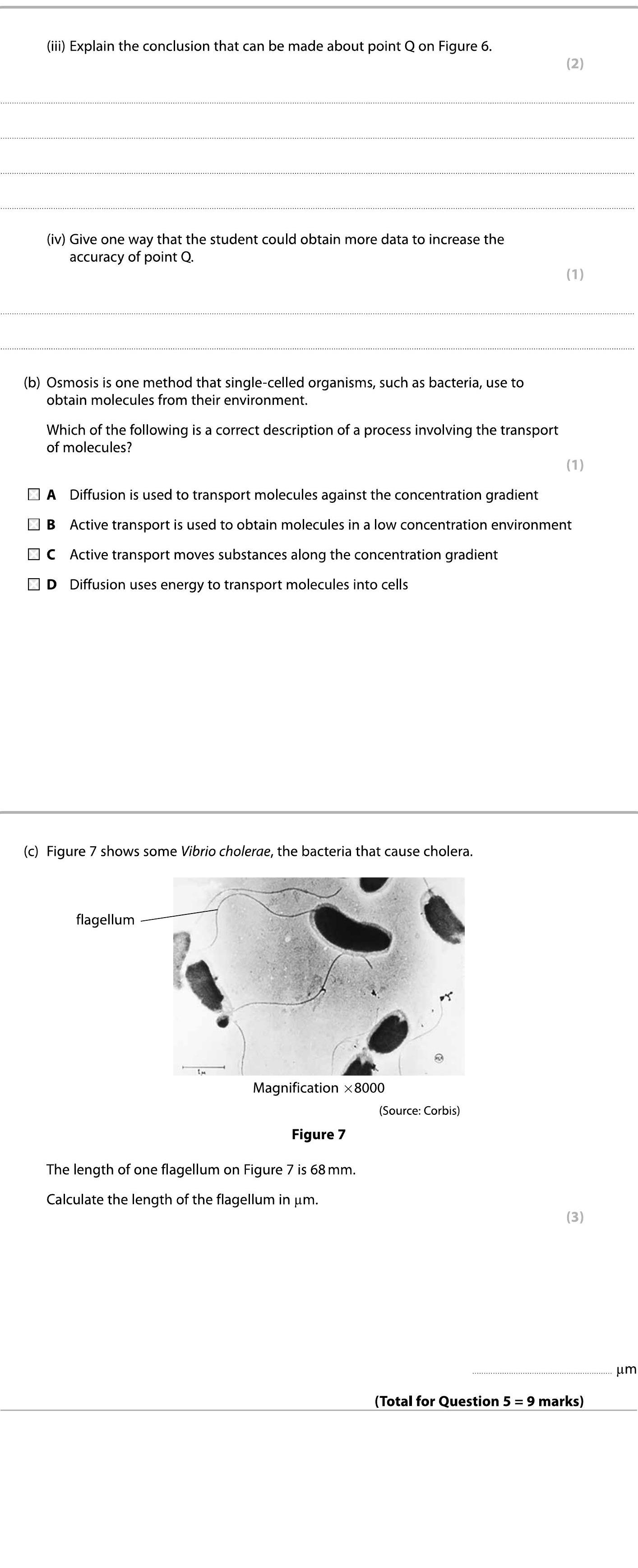 GCSE Edexcel Biology Mutations: Explain the conclusion that can