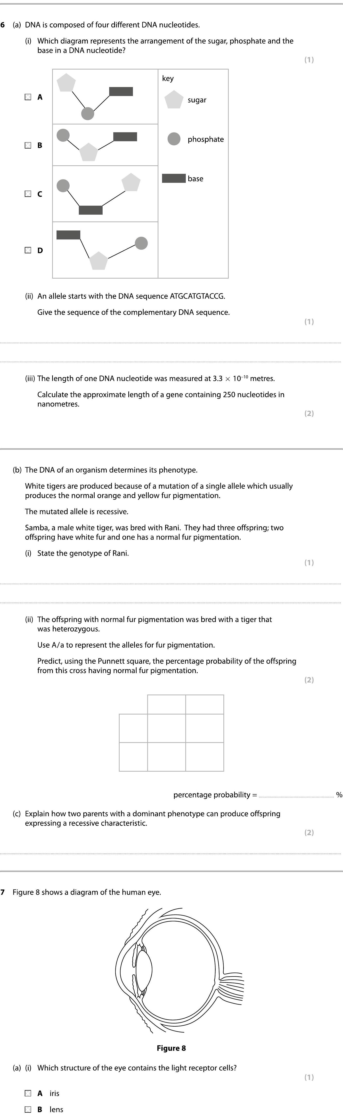 GCSE Edexcel Biology Specialised cells: 6 (a) DNA is composed of four di