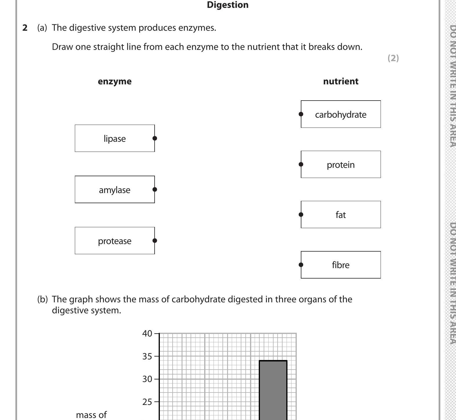 GCSE Edexcel Biology Enzymes: The digestive system produces en