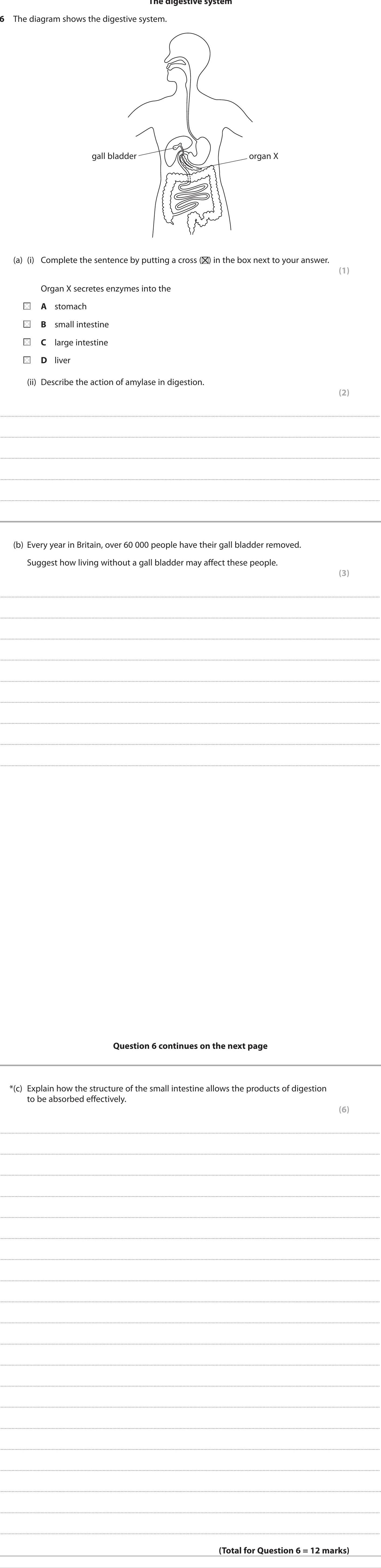 GCSE Edexcel Biology Enzymes: The diagram shows the digestive