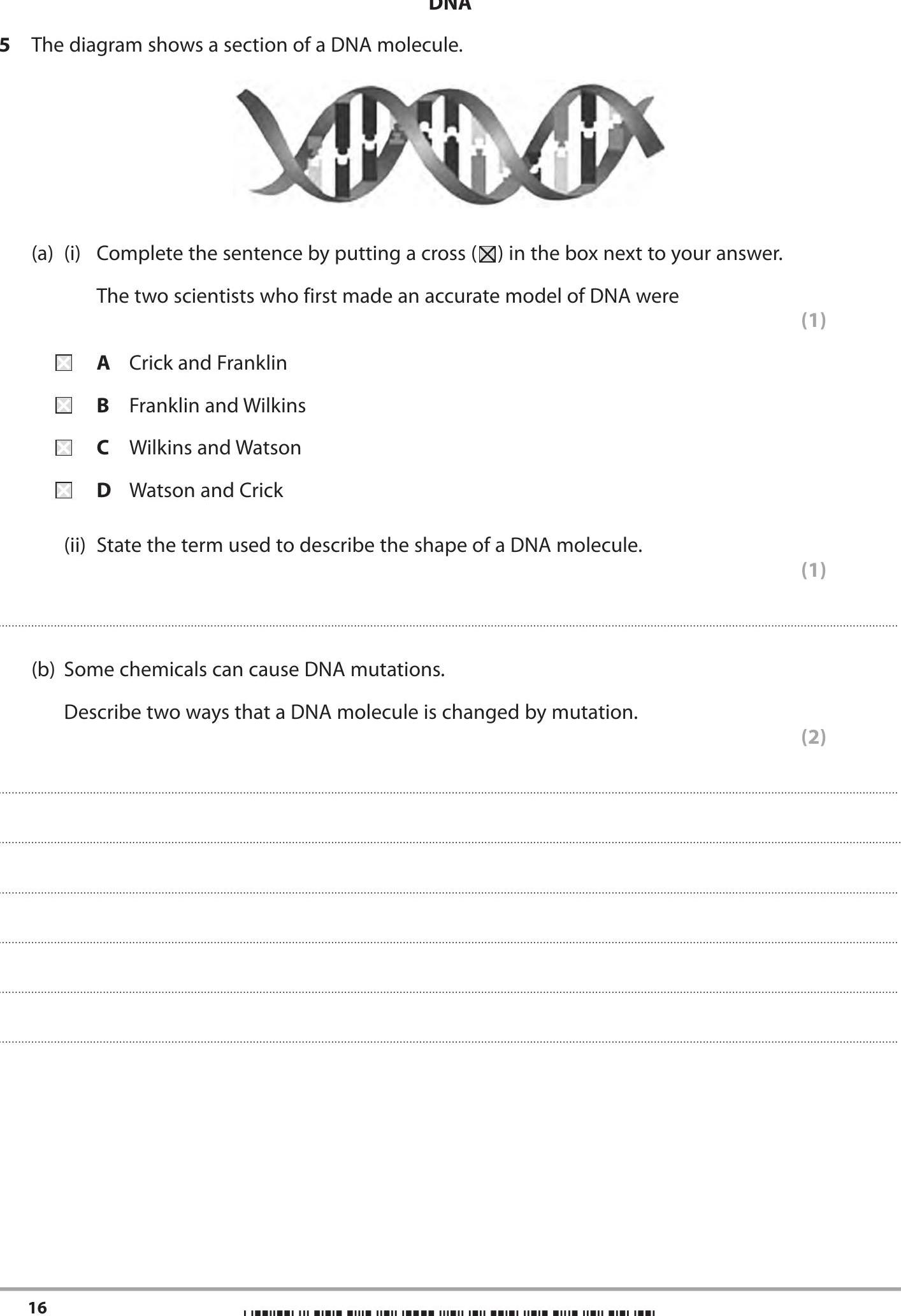 GCSE Edexcel Biology Mutations: The diagram shows a section of a