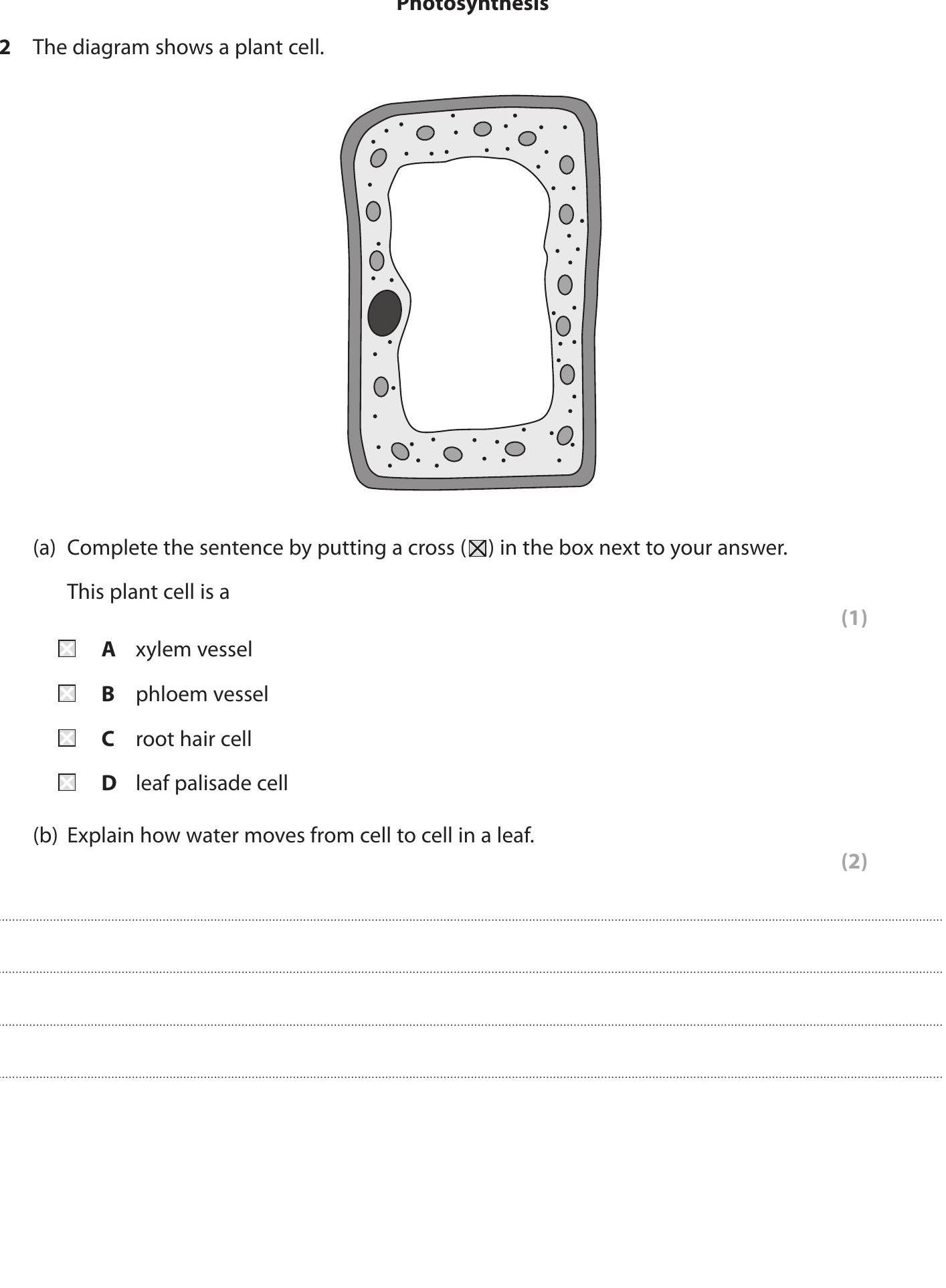 GCSE Edexcel Biology Photosynthesis: The diagram shows a plant cell.