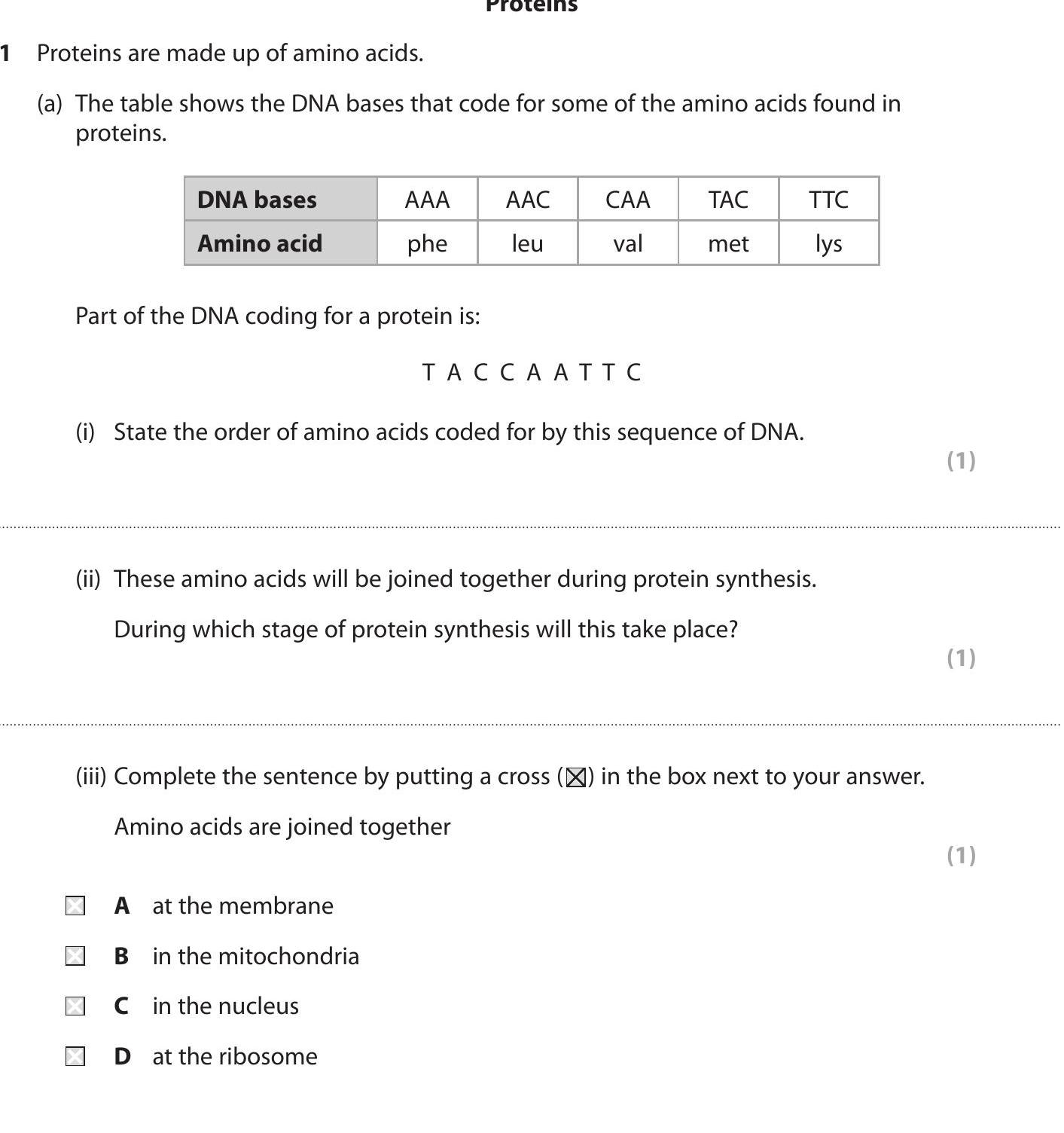 GCSE Edexcel Biology Protein synthesis: Proteins are made up of amino ac