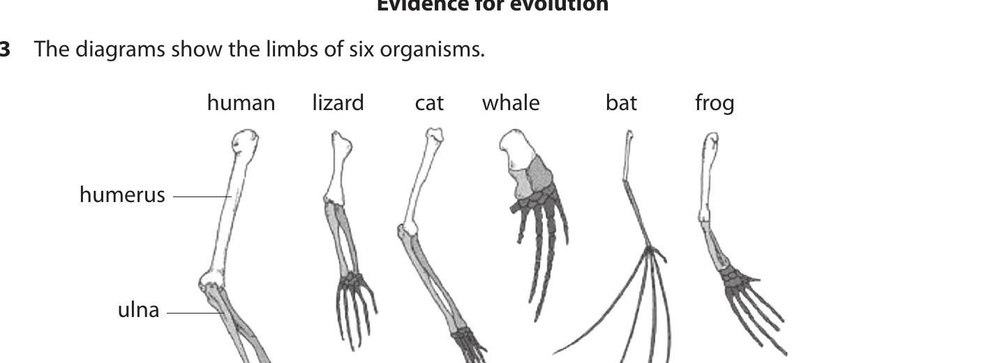 GCSE Edexcel Biology Evolution: The diagrams show the limbs of s