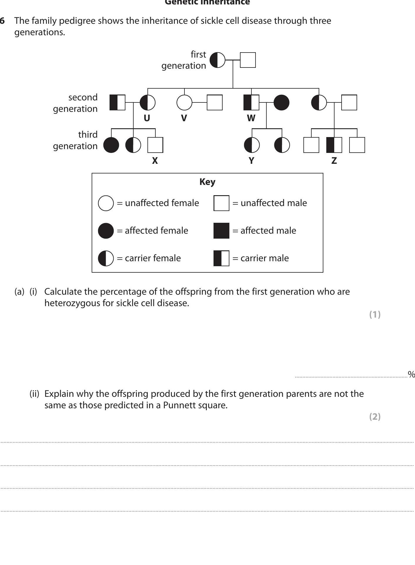 GCSE Edexcel Biology Genetic Diagrams: The family pedigree shows the in