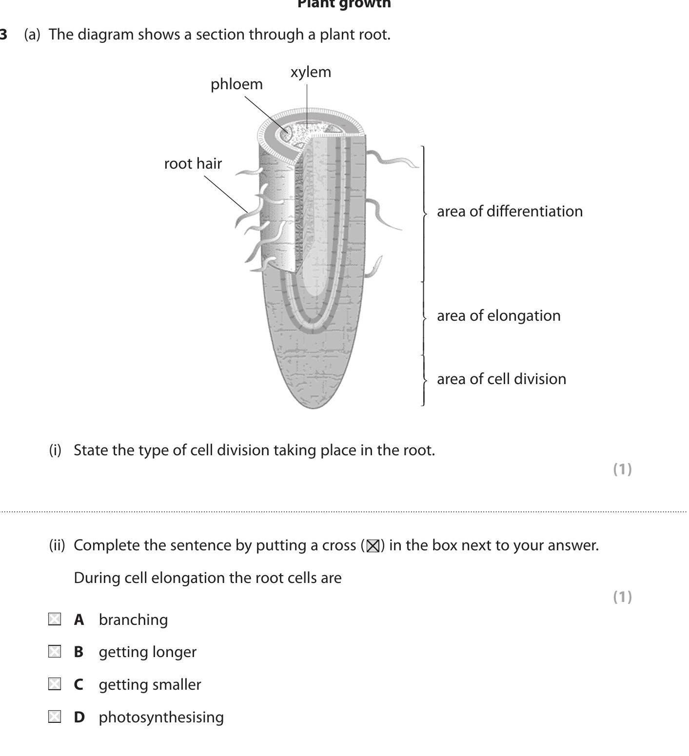 GCSE Edexcel Biology Transport in plants: 3. (a) The diagram shows a secti