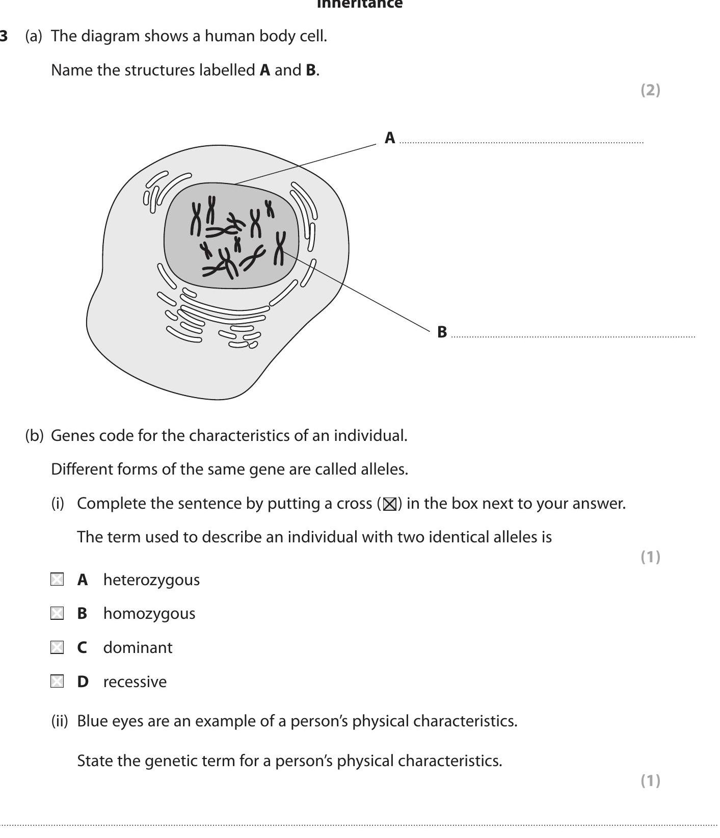 GCSE Edexcel Biology DNA - Deoxyribose Nucleic Acid: 3. (a) The diagram ...