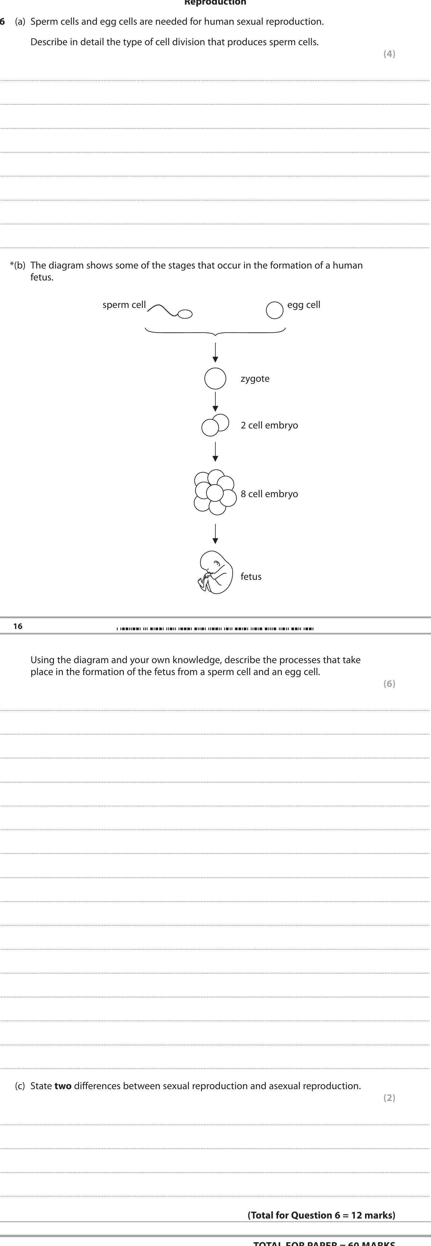 GCSE Edexcel Biology Meiosis – sexual reproduction: Sperm cells and egg ...