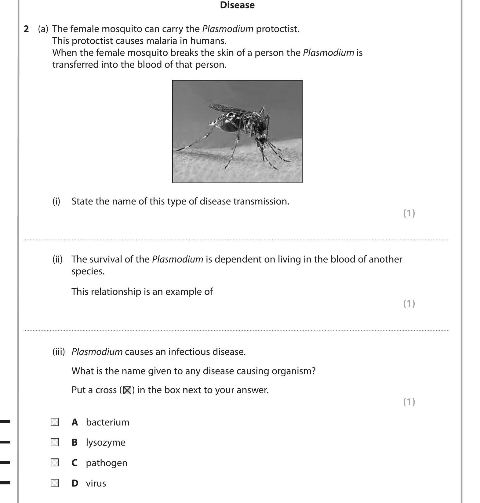 GCSE Edexcel Biology Fighting disease: The female mosquito can carry th