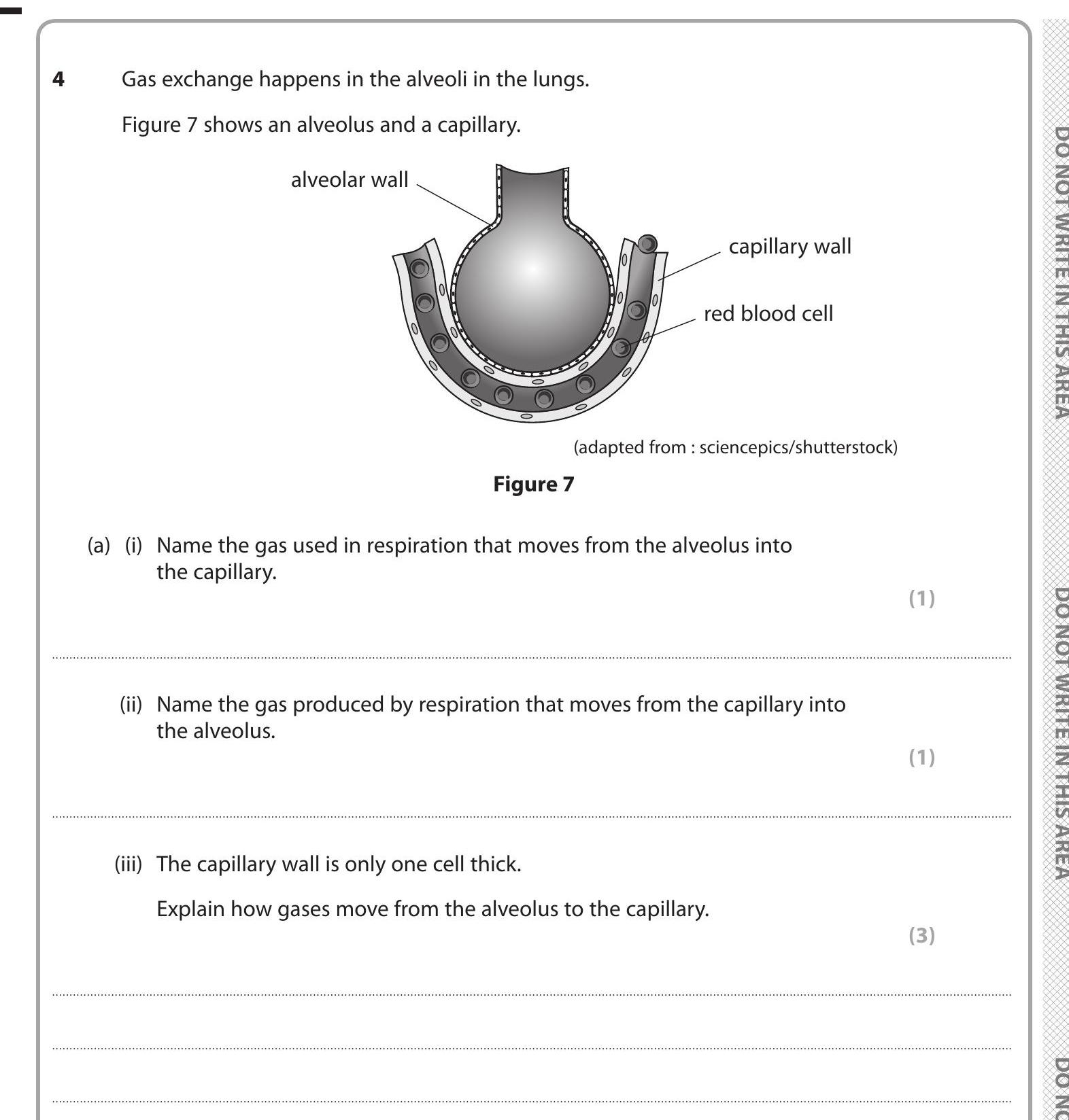 GCSE Edexcel Biology: Combined Science Diffusion, Osmosis, and Active ...