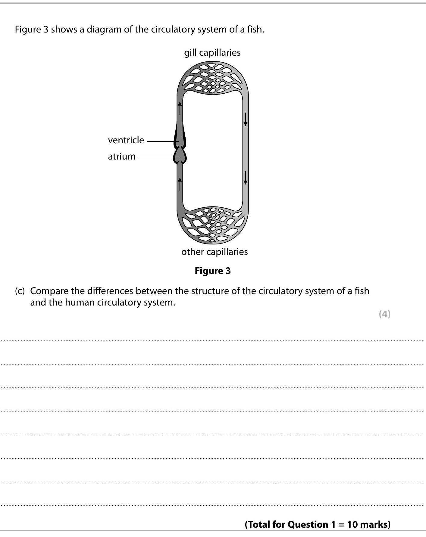 GCSE Edexcel Biology: Combined Science Diffusion & the alveoli: Compare ...