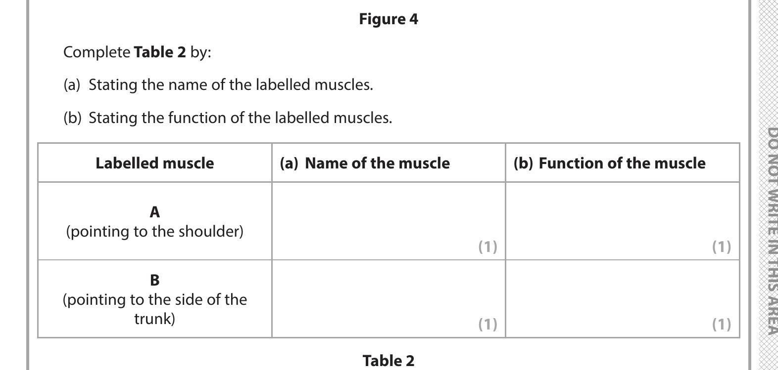GCSE Edexcel Physical Education The Structure & Functions of the ...