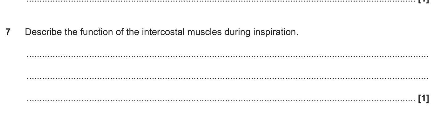 GCSE OCR Physical Education The Structure & Functions of the Cardio ...