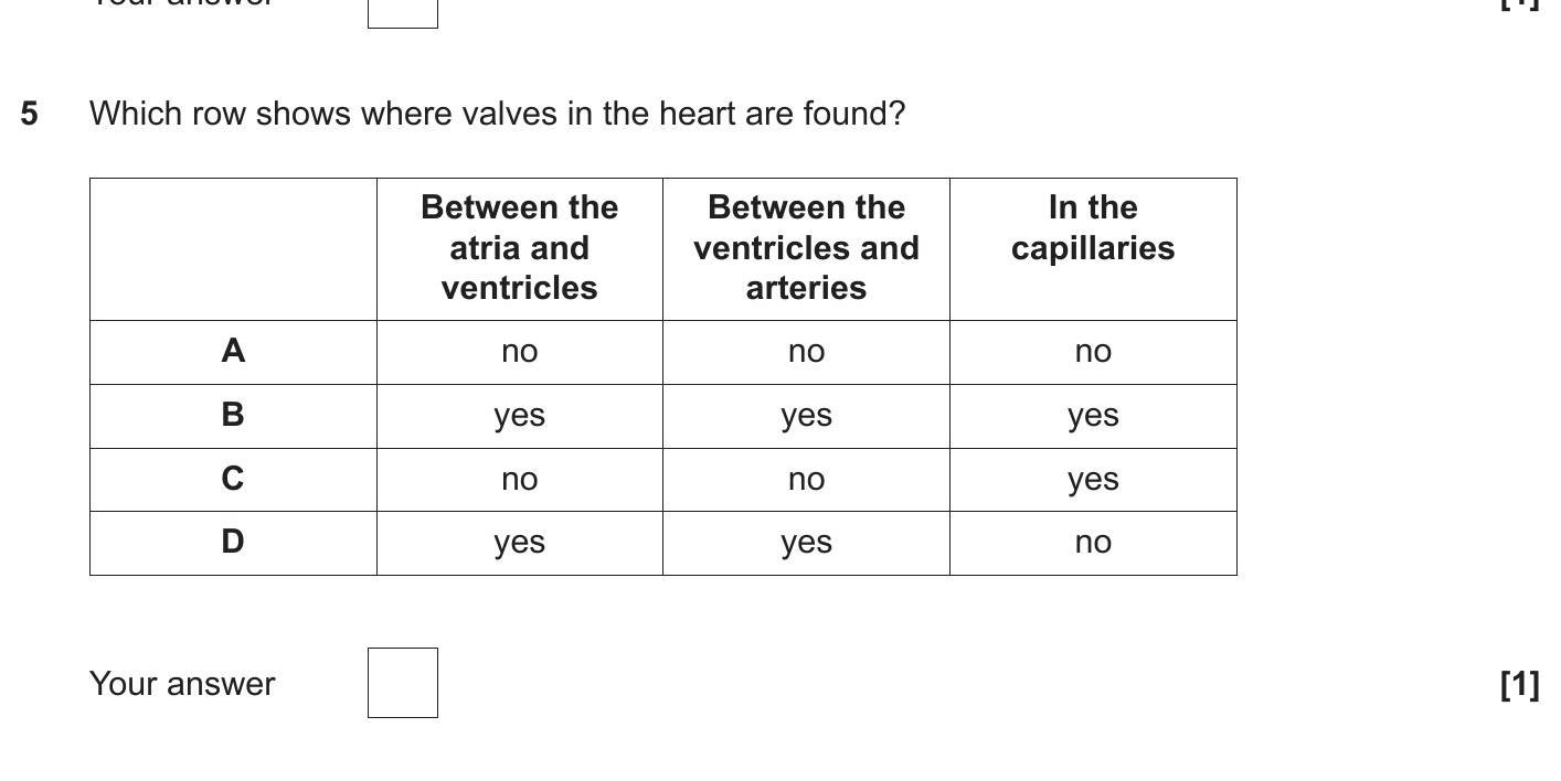 GCSE OCR Gateway Biology Organisation: The Cardiovascular & Respiratory ...