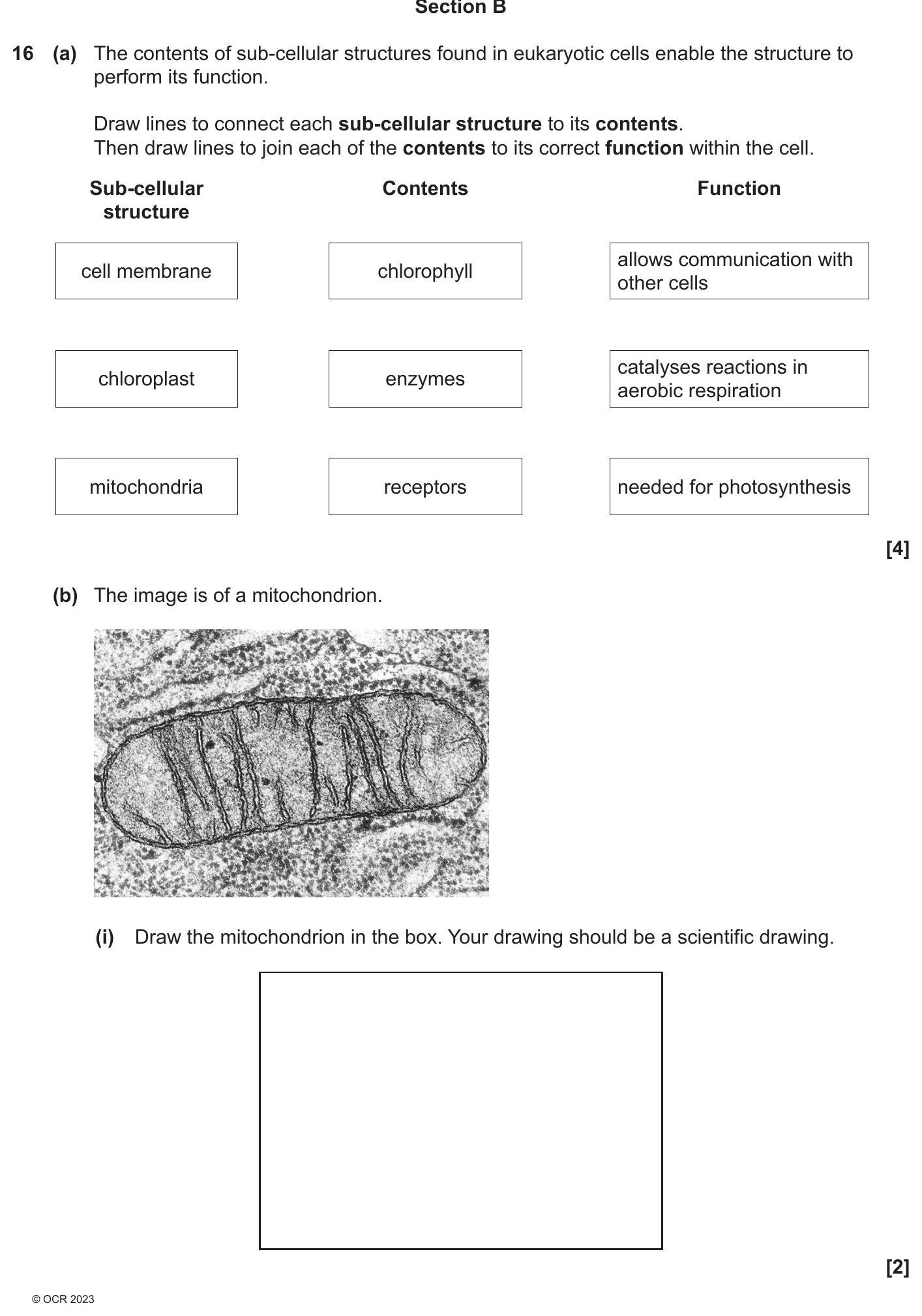 GCSE OCR Gateway Biology 4.2 Respiration: The contents of sub-cellular str