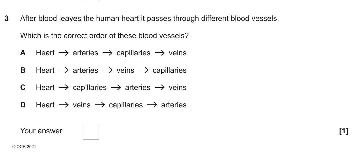GCSE OCR Gateway Biology Organisation: The Cardiovascular & Respiratory ...