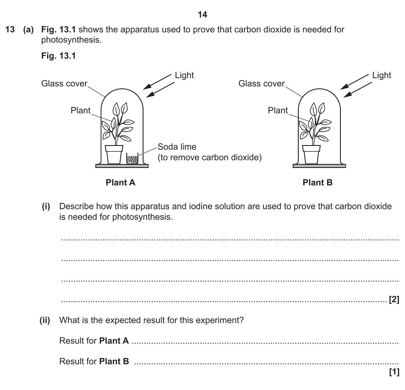 GCSE OCR Gateway Biology Combined Science Photosynthesis: Fig. 13.1 ...