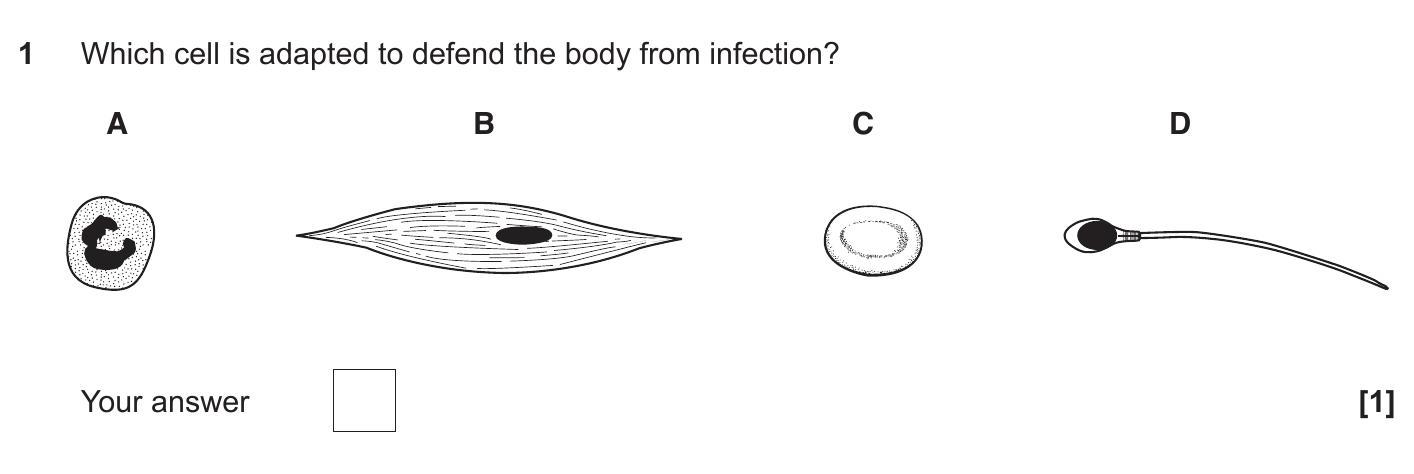 GCSE OCR Gateway Biology Combined Science 1.1 Cell Structure: Which ...
